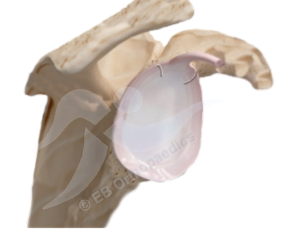 Physiotherapy Leaflets