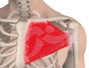 Physiotherapy Leaflets